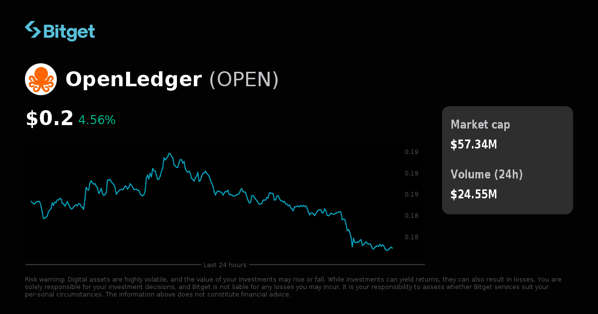 OpenLedger Price USD, OPEN Price Live Charts, Market Cap & News