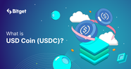 What Is USD Coin USDC 